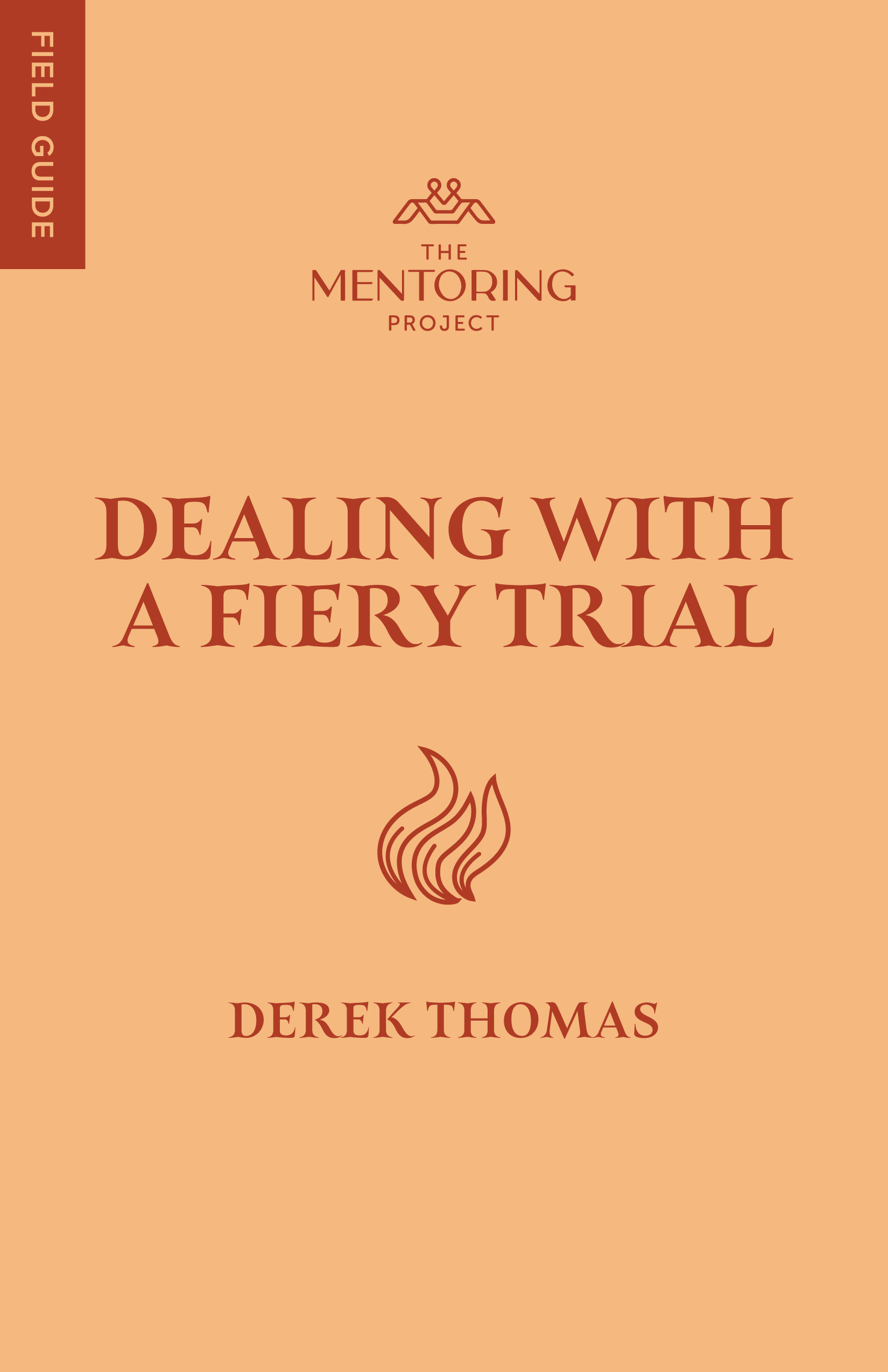 Dealing with a Fiery Trial - The Mentoring Project
