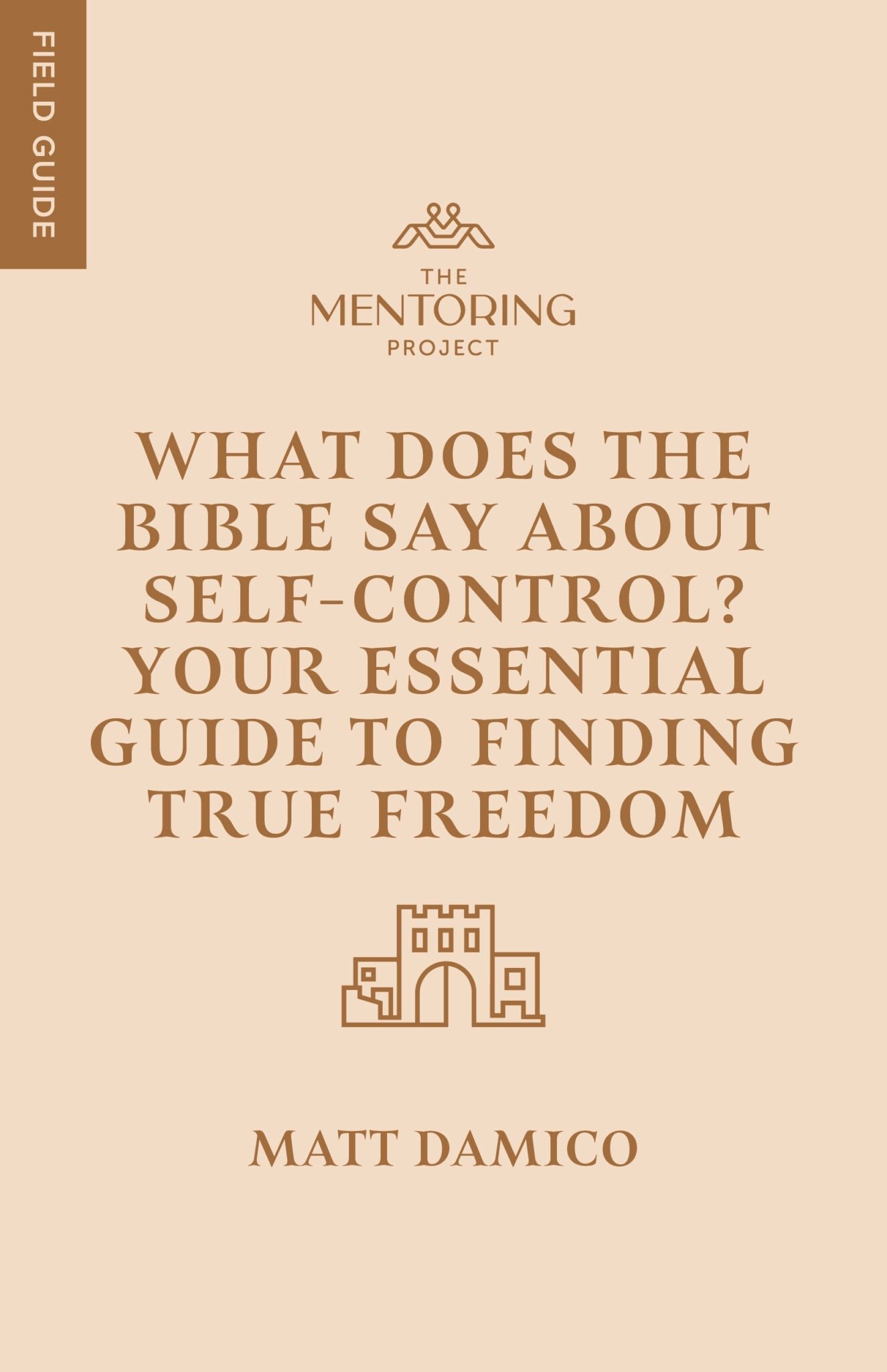 Free Bible Study & Discipleship Guides - The Mentoring Project